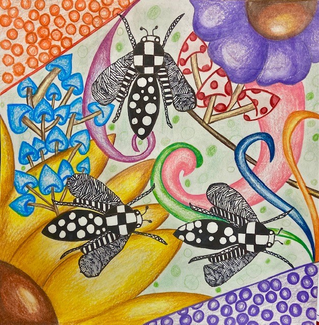Junior VASE — 2022 Platinum Medals Student Gallery