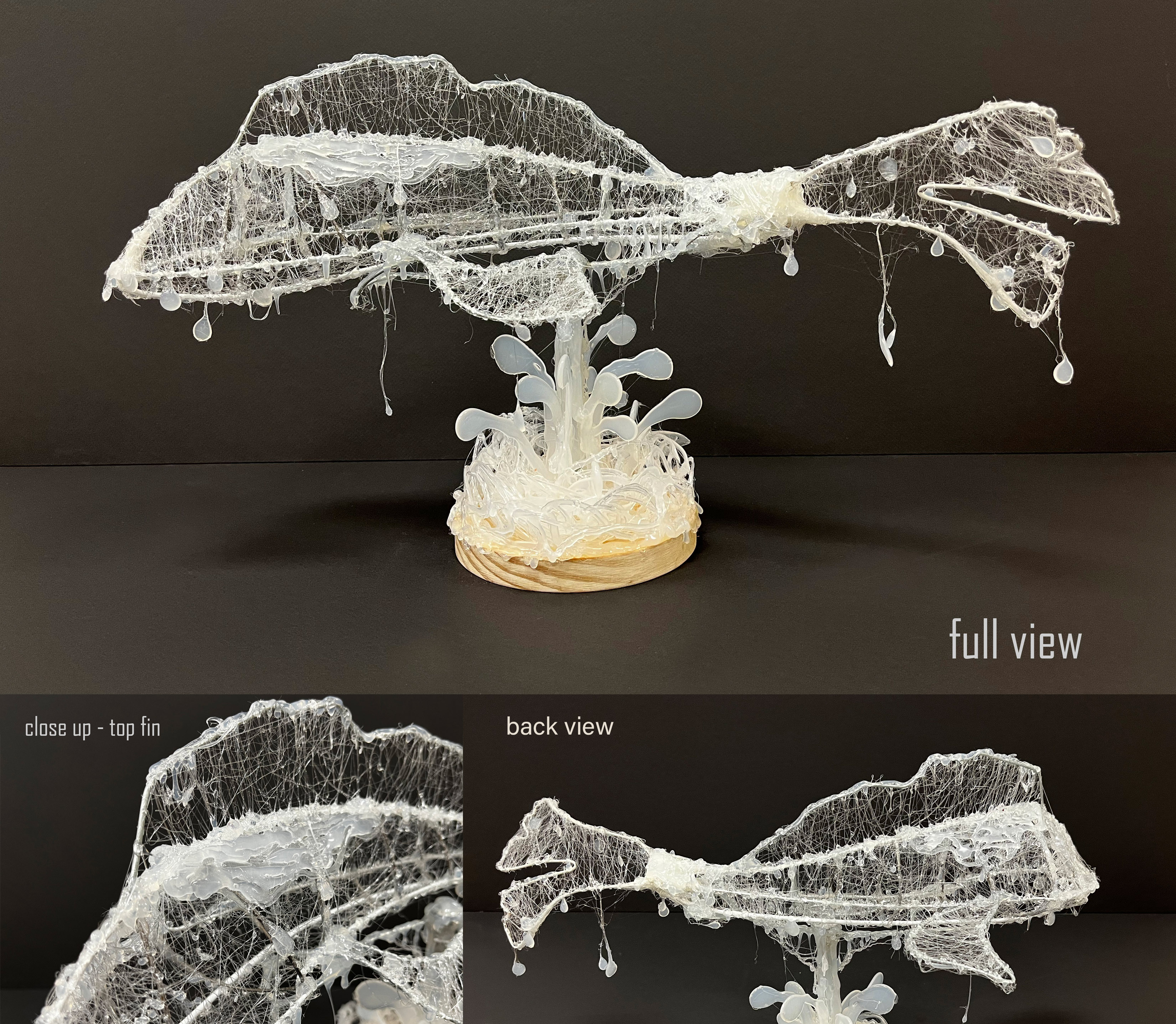 Junior VASE — 2022 Platinum Medals Student Gallery