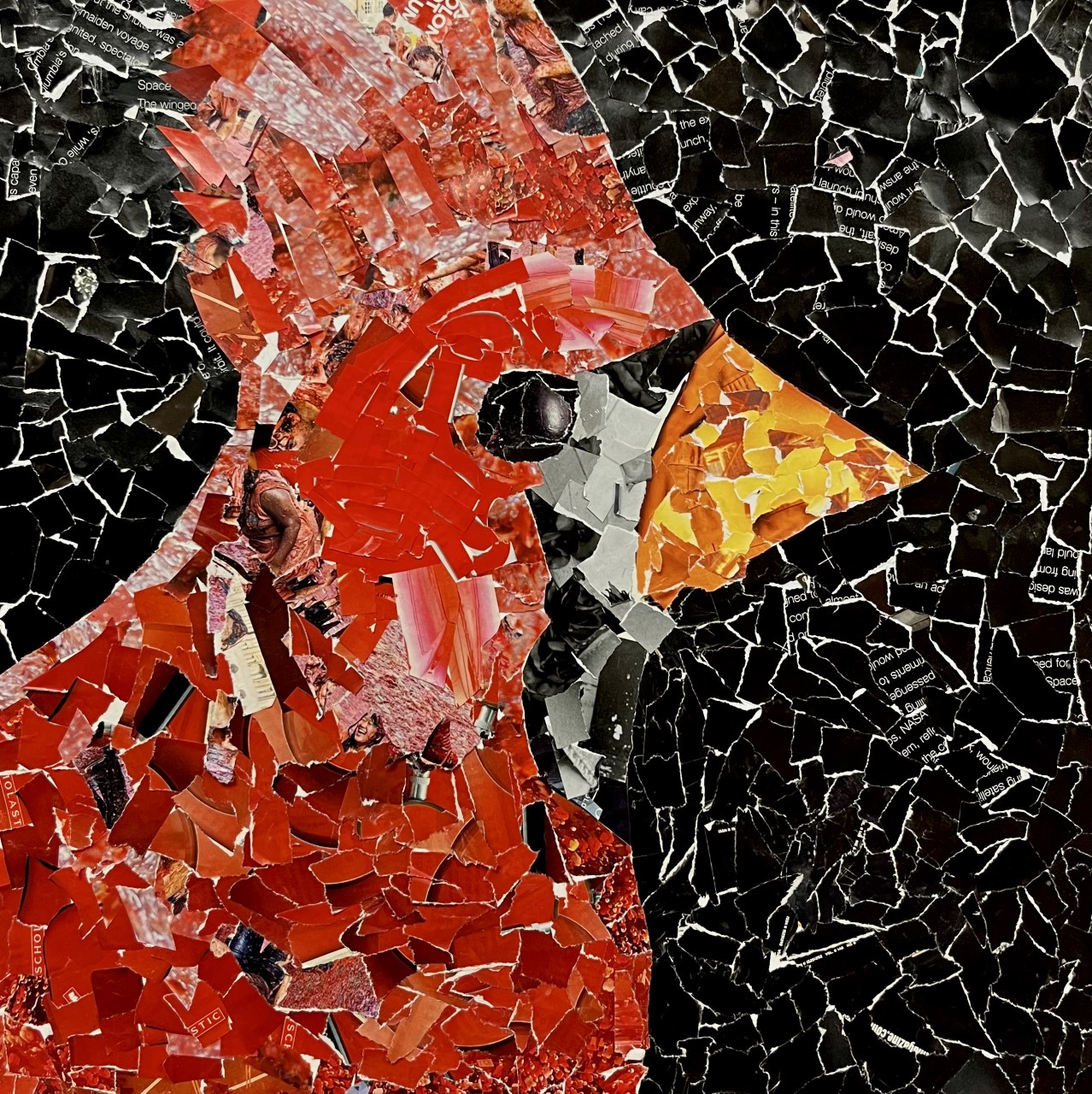 Junior VASE — 2022 Platinum Medals Student Gallery