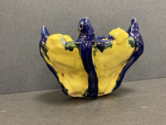 Junior VASE — 2022 Platinum Medals Student Gallery
